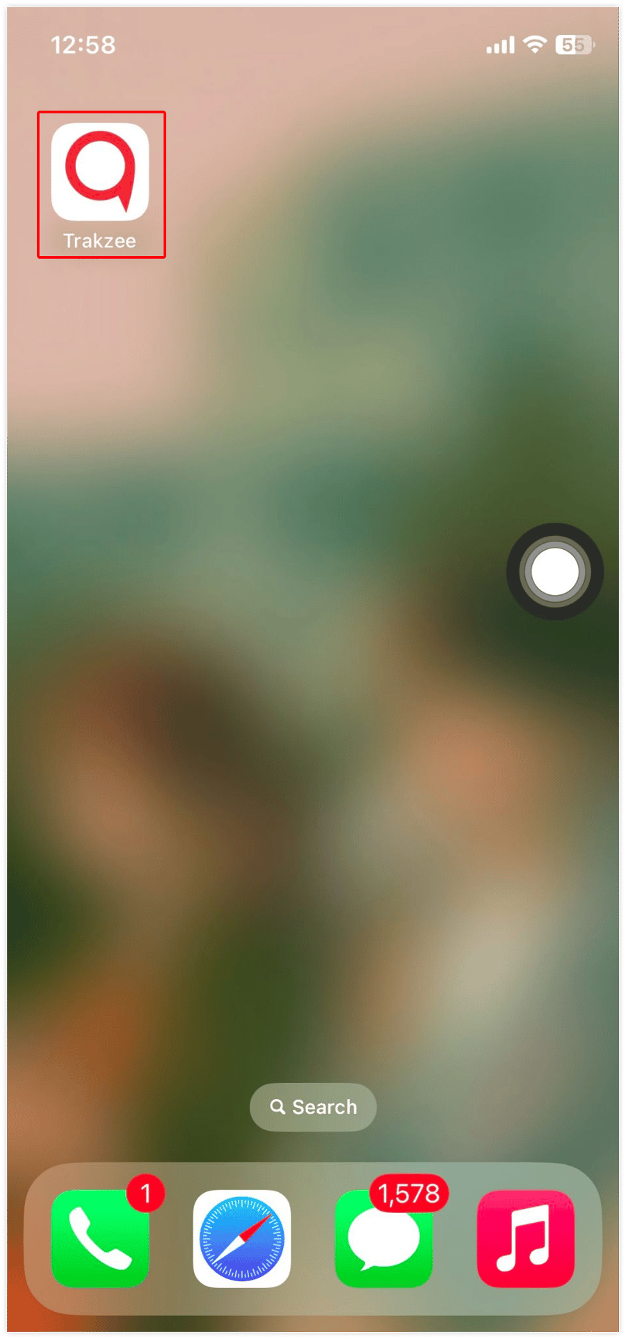 iOS White Label Pre-requisite